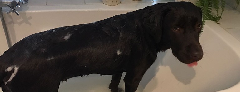 Bad versus douche - Supermoms.nl